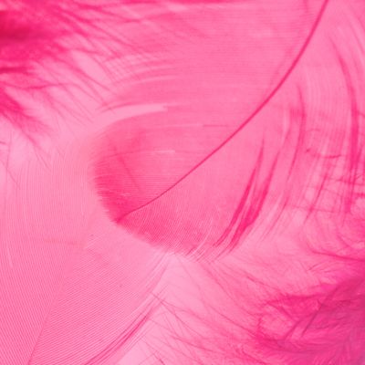 HD Pink Background Images: Free Download | Fotor