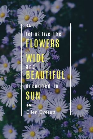 Daisy Flower Quotes